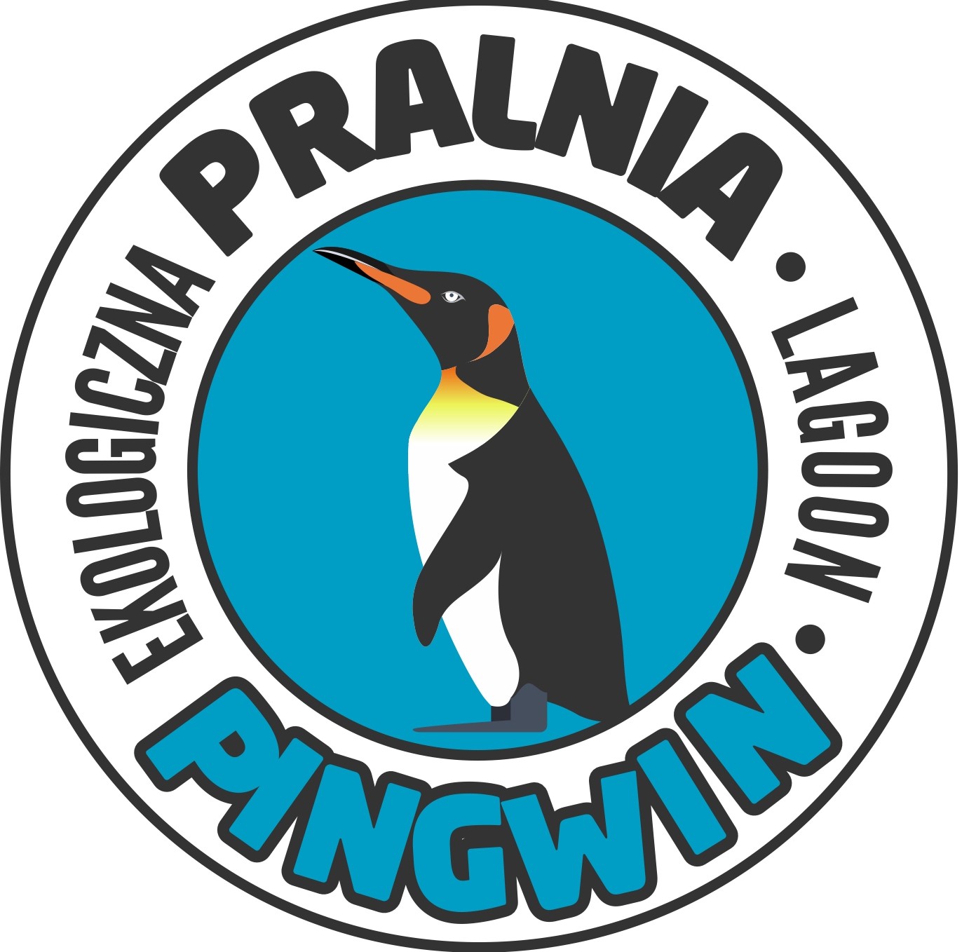Pralnia Pingwin Iława